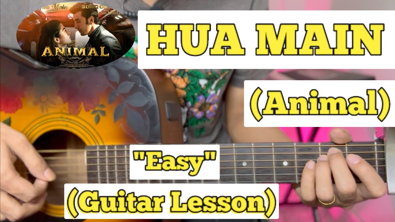 HUA MAIN - ANIMAL | Guitar Lesson | Easy Chords | (Raghav Chaitanya ...