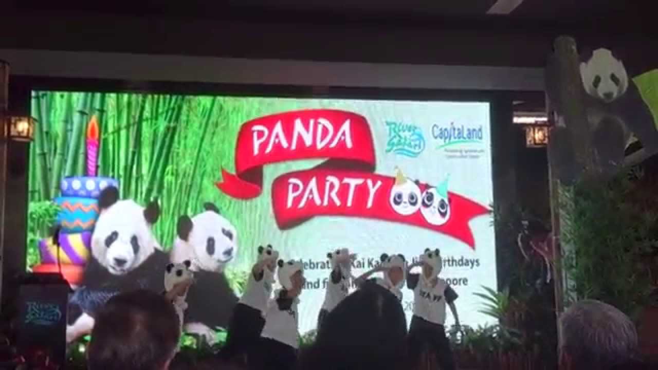 Panda Party 1st Anniversary in 2014 - YouTube