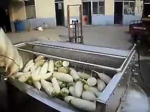 Radish washing machine Sapwells - YouTube