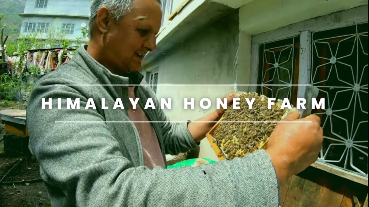 Visit to a Himalayan Honey Farm in Manali || Apiculture || - YouTube