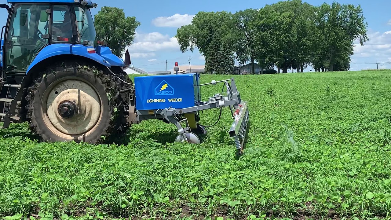 Lasco Lightning Weeder on T8010 New Holland - YouTube