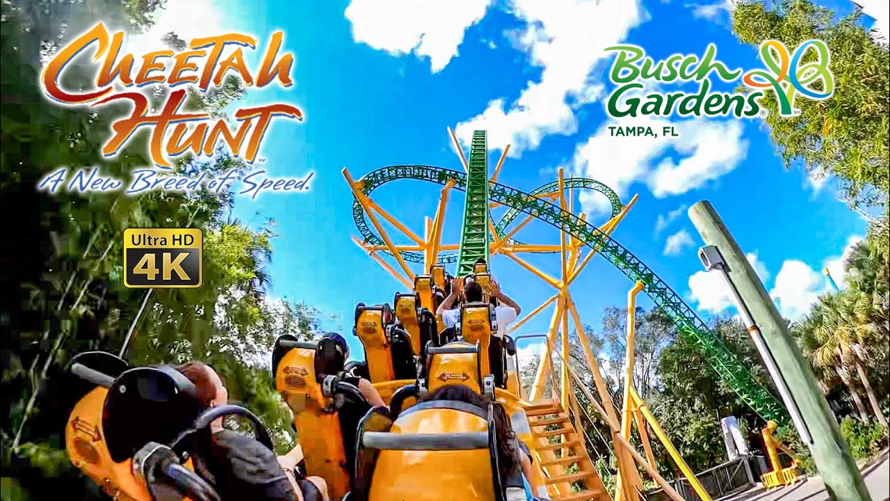 Florida Cheetah Hunt Roller Coaster