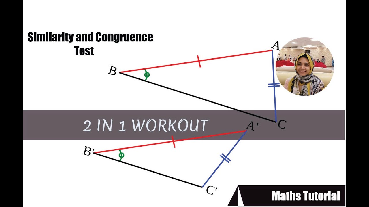 2 in 1 Workout|Similarity And Congruence Test|Chap:9|New Syllabus ...
