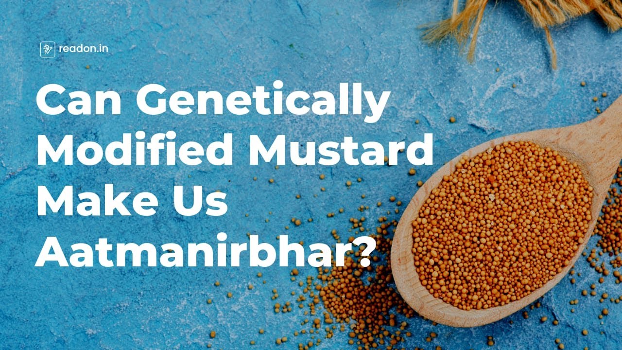 Can Genetically Modified Mustard Make Us Aatmanirbhar? | Revolution ...