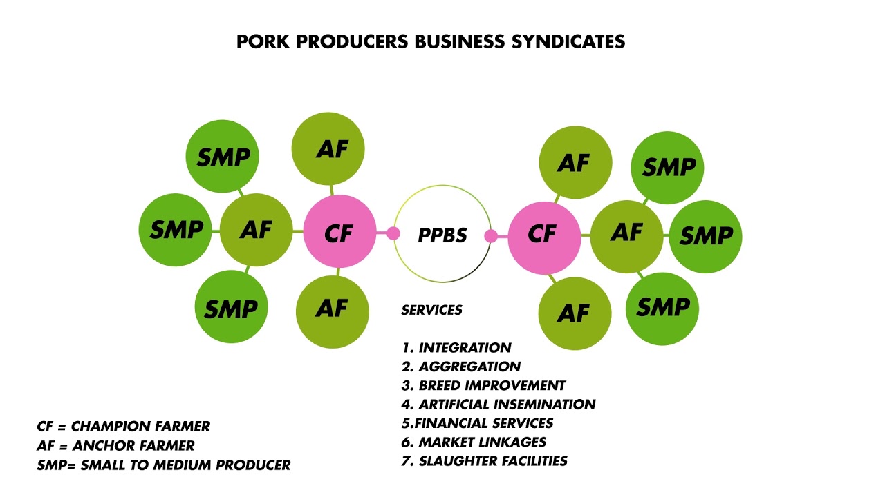 Pork Value Chain Interventions - YouTube