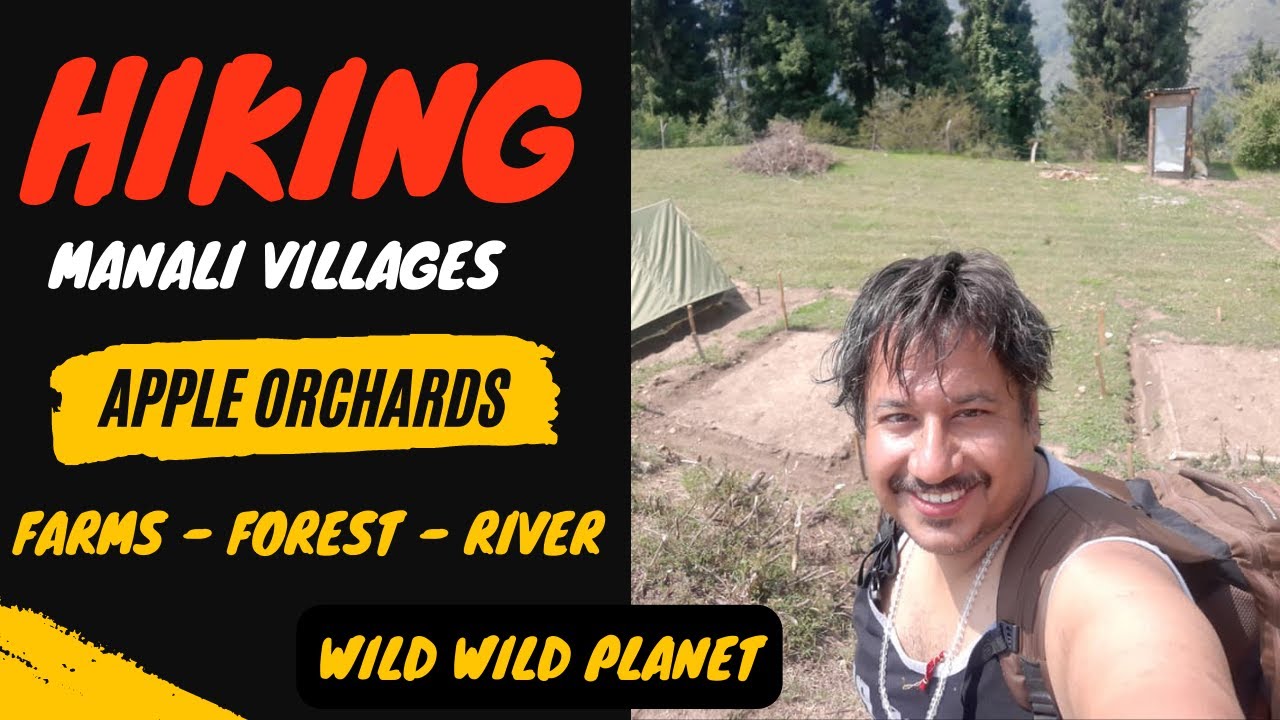 Solo Hiking Manali Village | Day hike Kullu naggar Forest easy trek ...