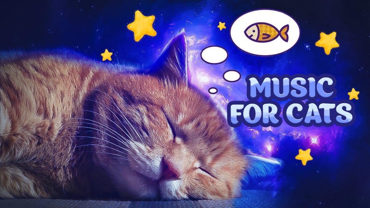 Relaxing MUSIC FOR CATS ♫ cat lullaby SONG TO SLEEP - YouTube