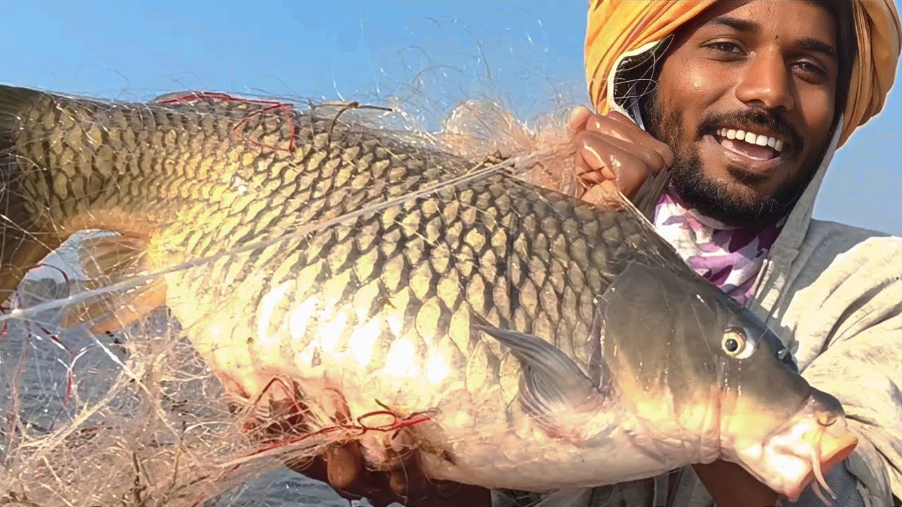 Traditional Fishing In River Net Fishing - YouTube