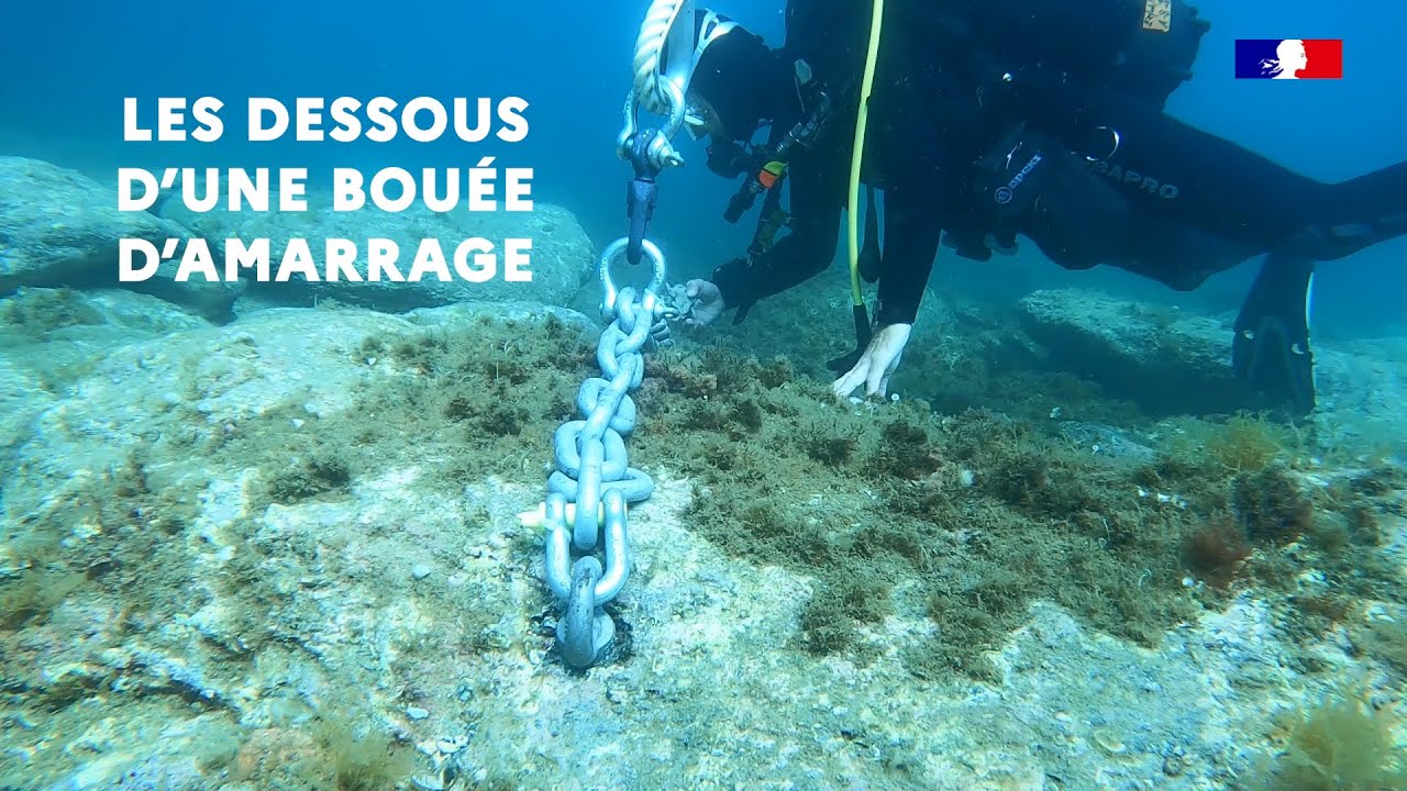 Les dessous des bouées d’amarrage - YouTube