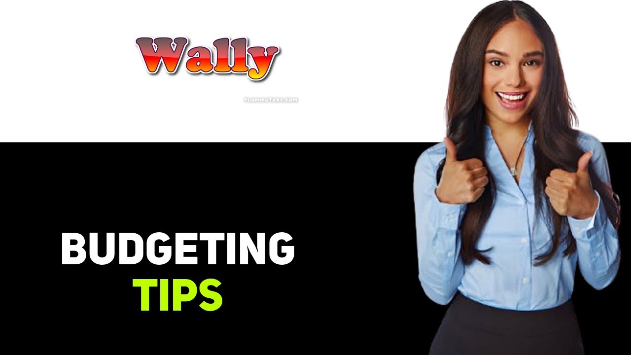 How to use wally budgeting app - YouTube