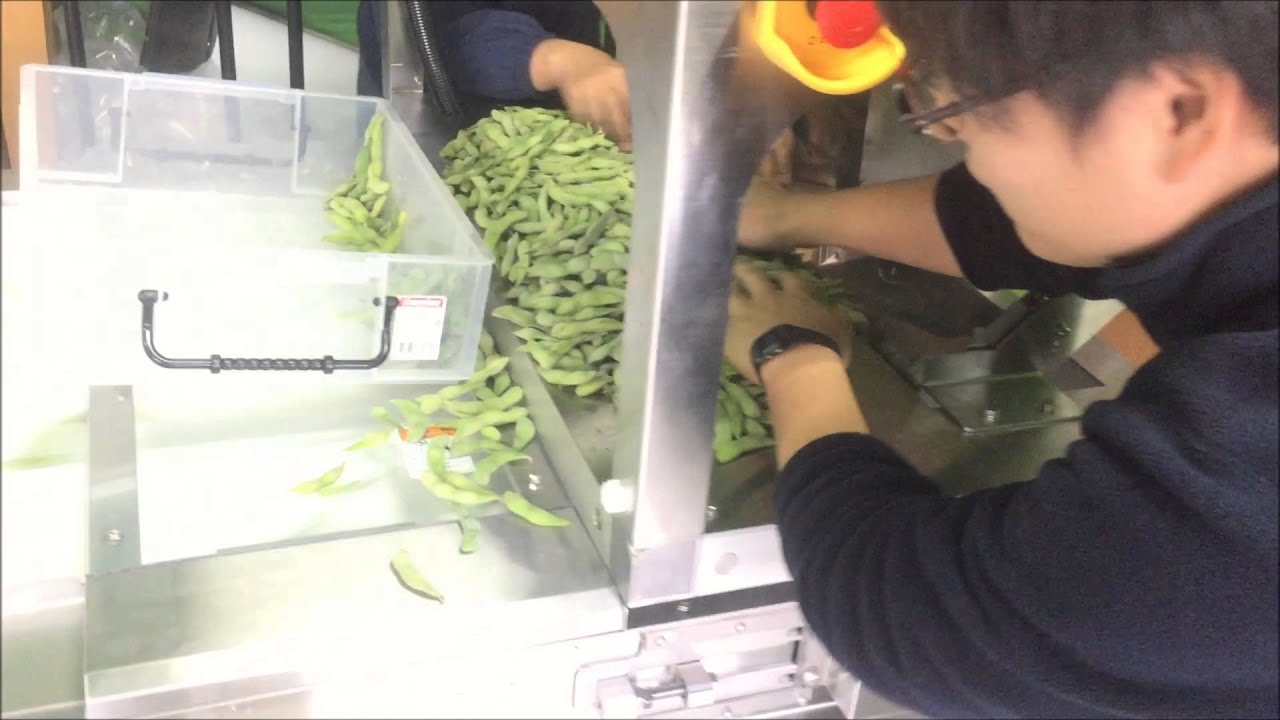 Edamame Sorting By Beltuza - YouTube