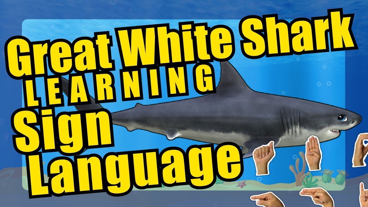 American Sign Language Great White Shark Parade - ASL - YouTube