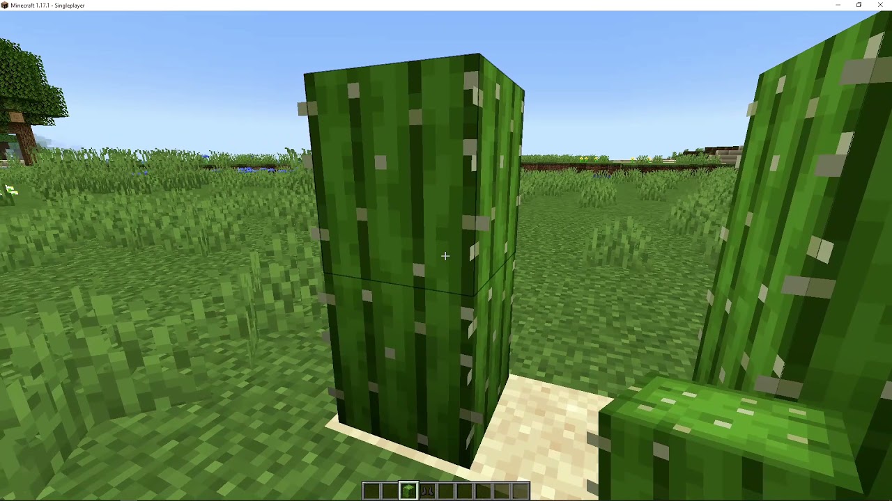 Netherite battles cactus - YouTube