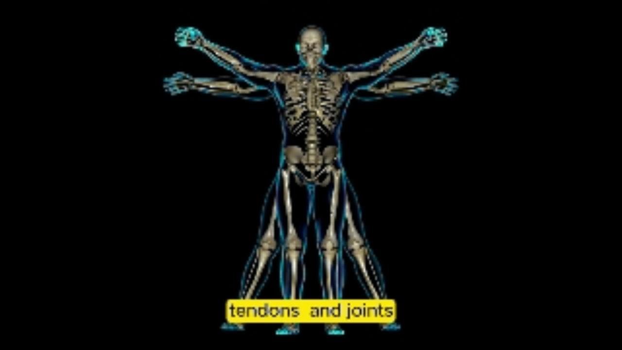 What Is FOP? The Rare Disease That Turns Muscles Into Bone! - YouTube