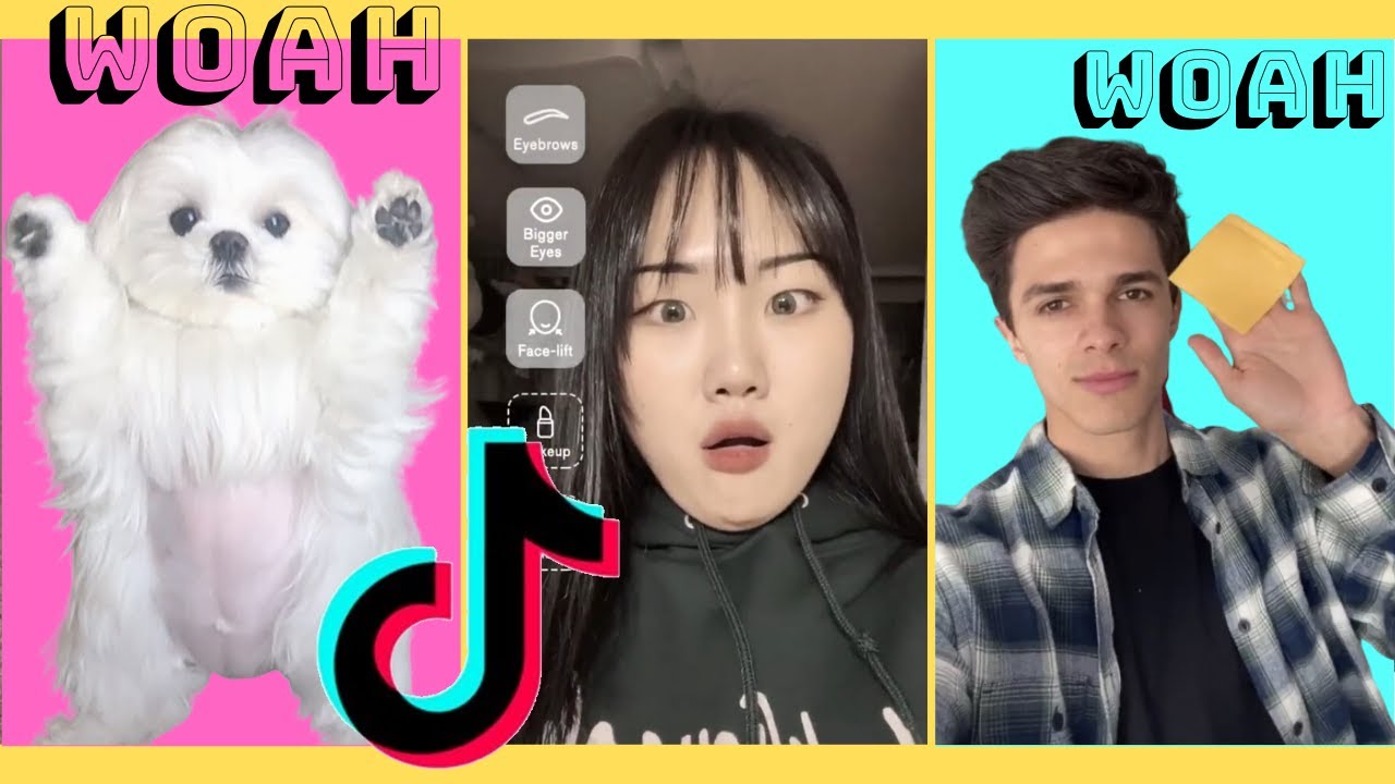 Tik Tok Woah Song Challenge 2020 | Compilation #1 - YouTube