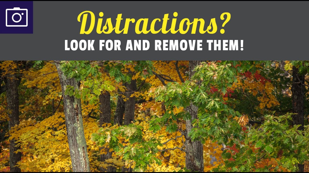 How to look for and remove distractions in your Photographs - YouTube