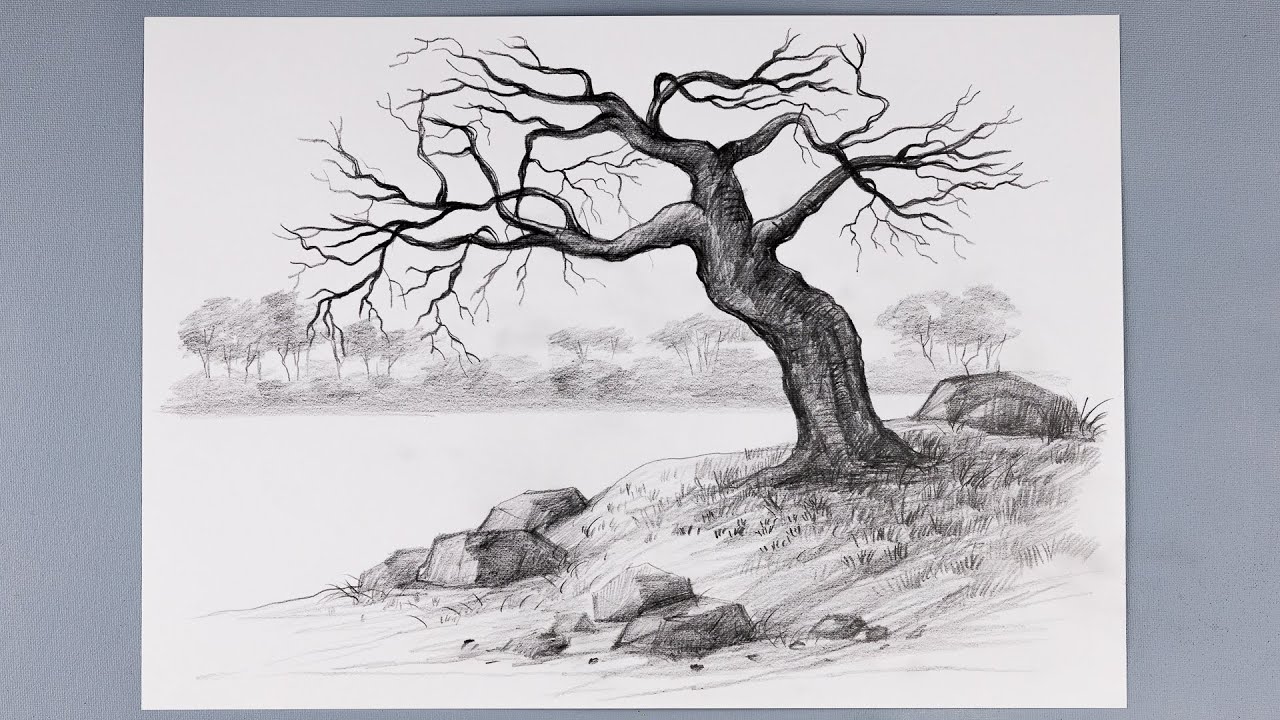 How to Draw a Landscape / Pencil Drawing - YouTube