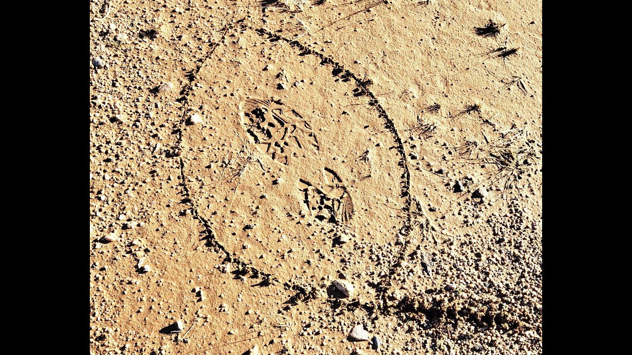 The basics of Man Tracking - YouTube