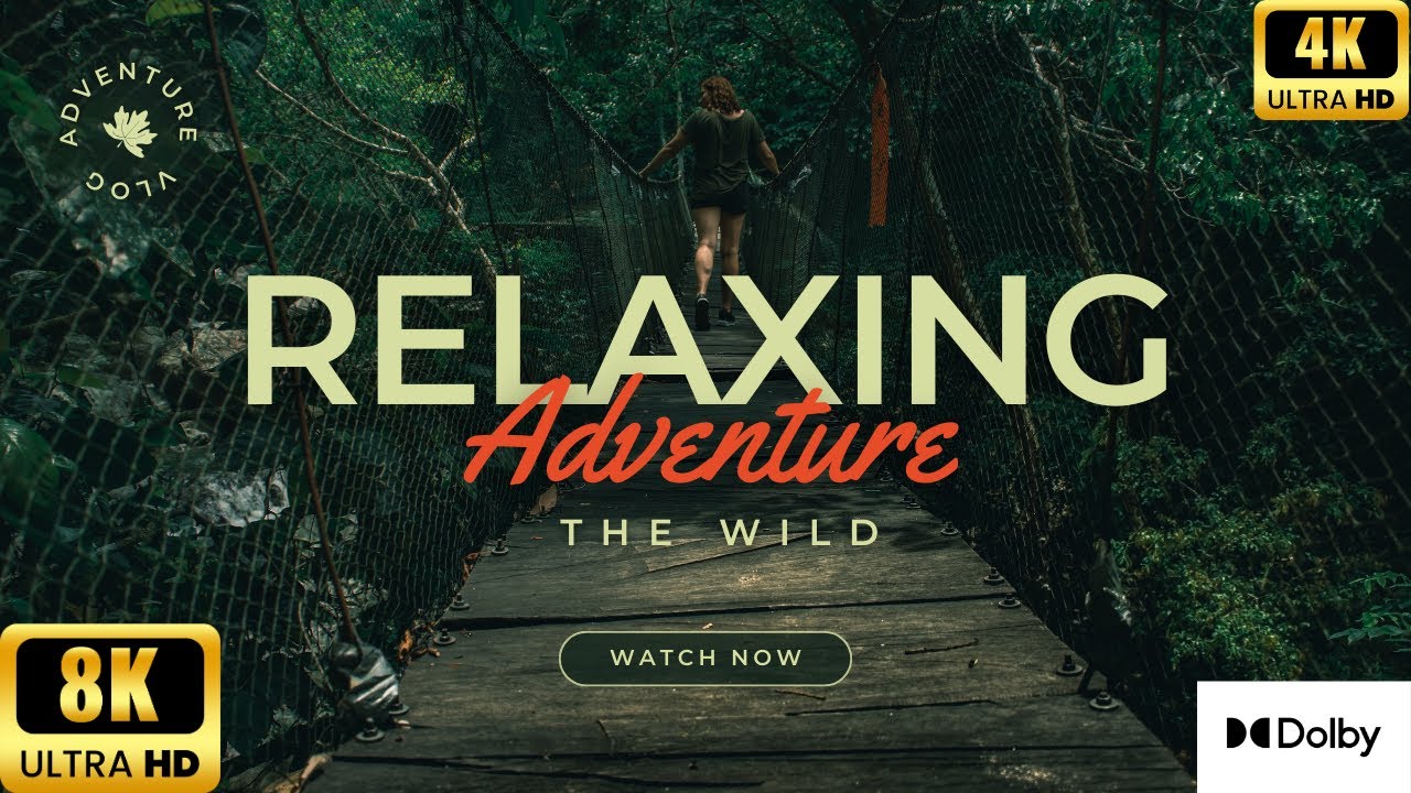 Adventure in the Wild Relaxing 8K & 4K Ultra HD | Beautiful Nature ...