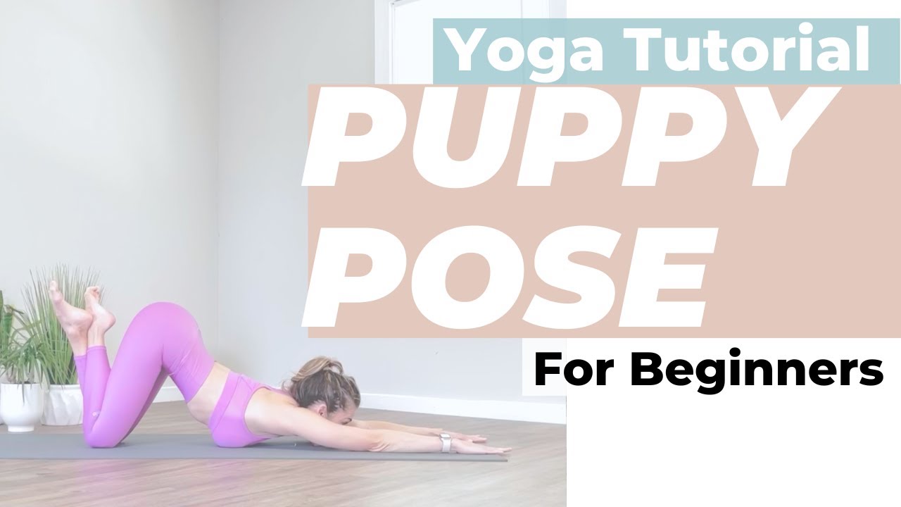 How to Do Puppy Pose (uttana shishosana) Ultimate Guide + Anatomy Break ...