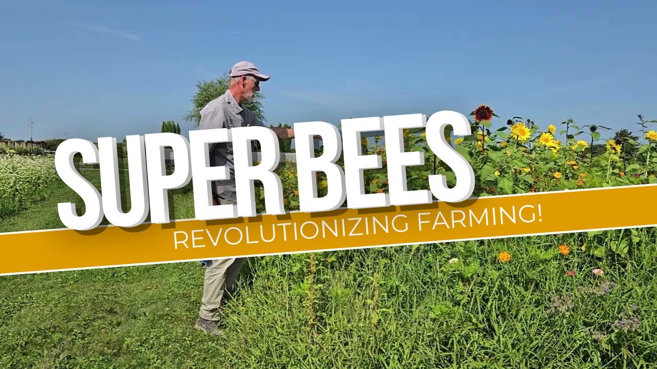 The Surprising Truth About Super Bees Nobody Tells You - YouTube
