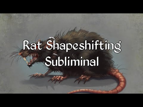 Rat Shapeshifting Subliminal - YouTube