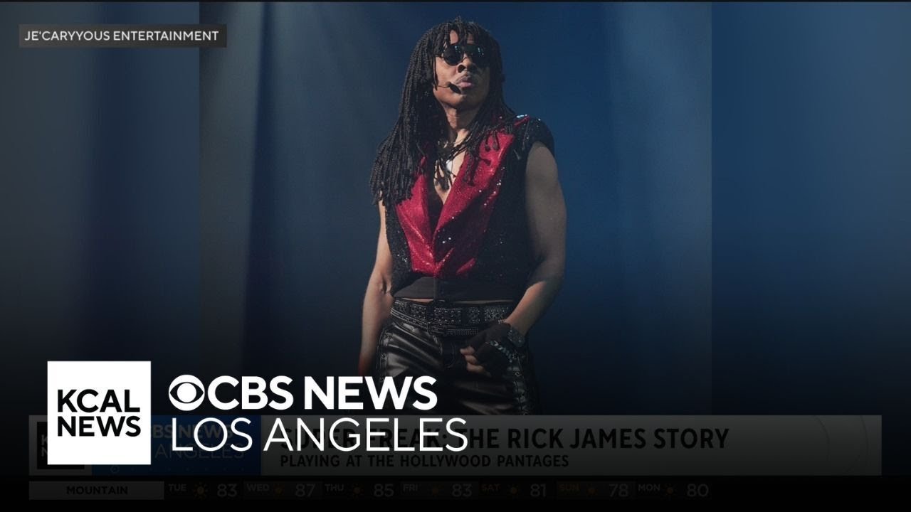 A preview of "Super Freak: The Rick James Story" at the Hollywood ...