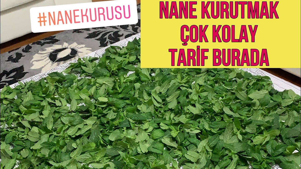 evde kuru nane nasıl yapılır / nane kurutma tarifi / kuru nane yapmanın ...