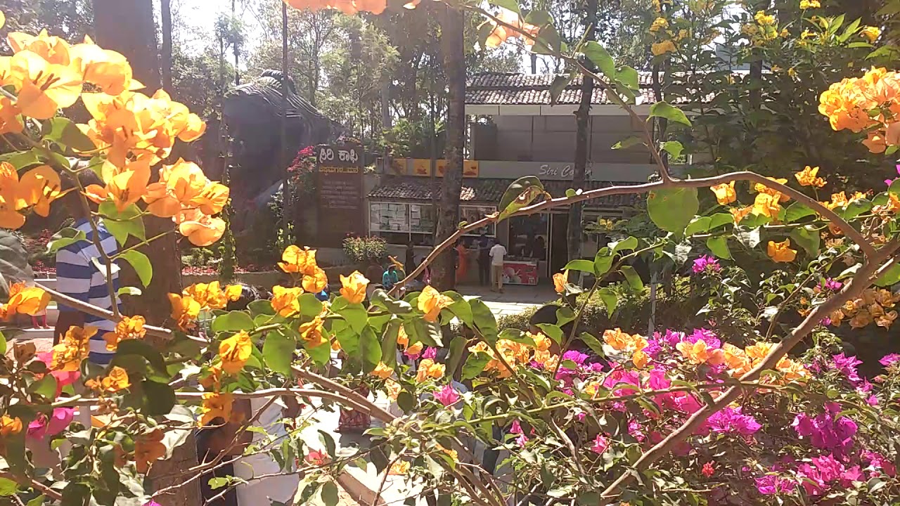 Siri cafe , Chikmangalur - YouTube