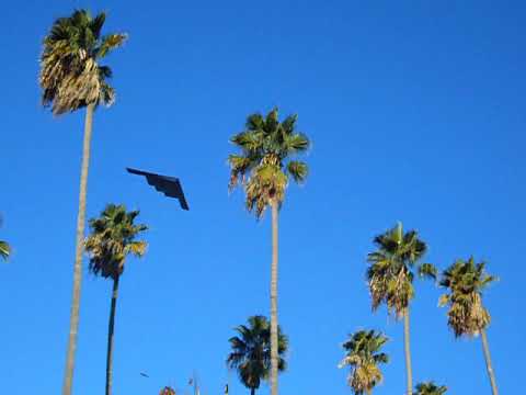 New Year's 2019 Flyover B2 Stealth Bomber approaching the Rose Parade ...