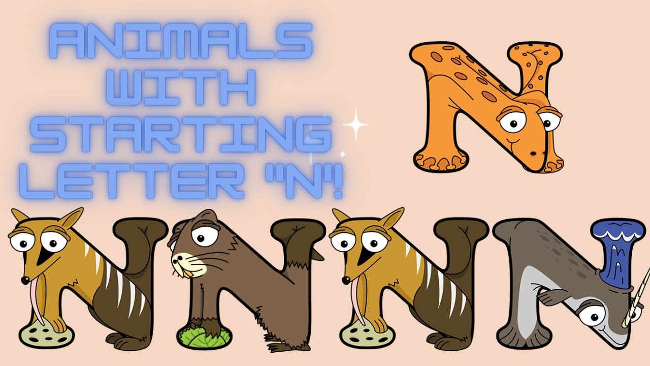 ANIMALS WITH STARTING LETTER N! - YouTube