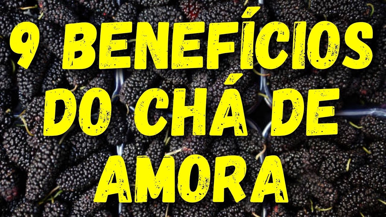 COMO FAZER O CHÁ DE AMORA, QUAIS OS PRINCIPAIS BENEFÍCIOS PARA A SAÚDE ...