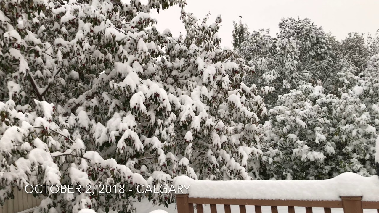 Snow Event in Calgary - October 2018 - YouTube