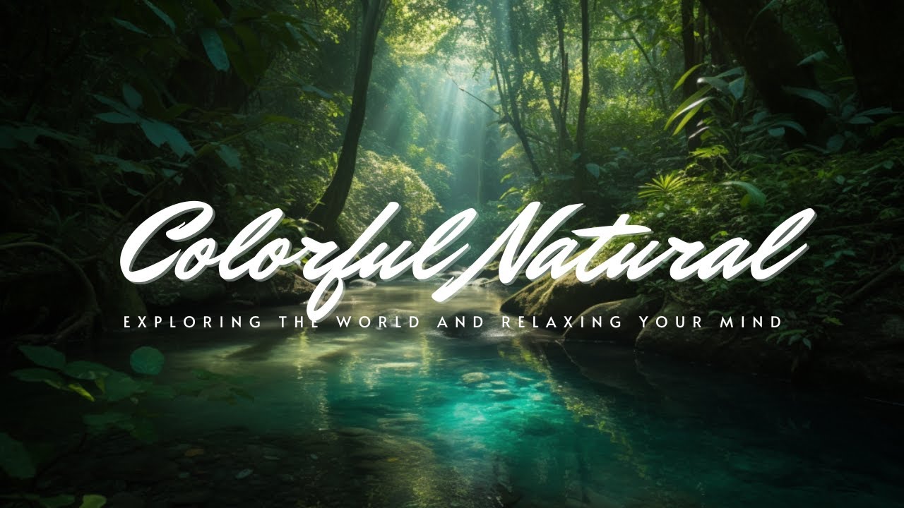 🎵Lofi Music with Mountain Streams in the Jungle | Chill Beats & Nature ...
