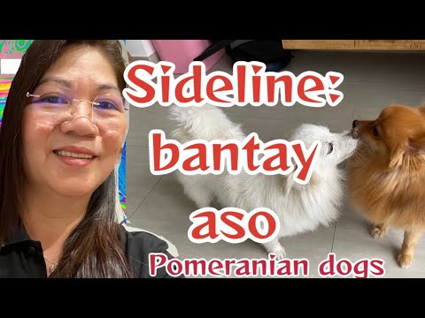 Sideline: Bantay Aso (dog sitting) @Marie Bacuño - YouTube