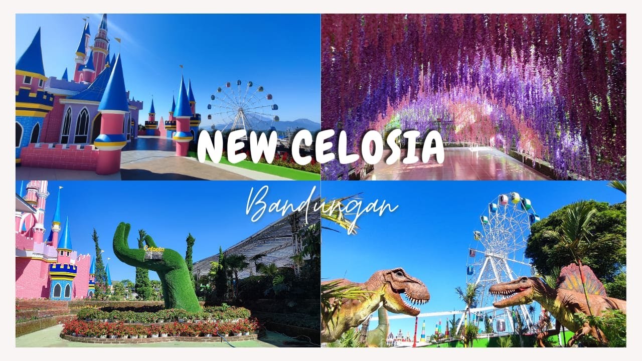 TAMAN WISATA BUNGA NEW CELOSIA - BANDUNGAN, KAB.SEMARANG - YouTube