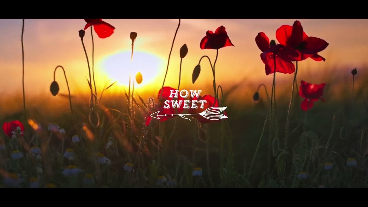 Caravan / How Sweet【MUSIC VIDEO】 - YouTube