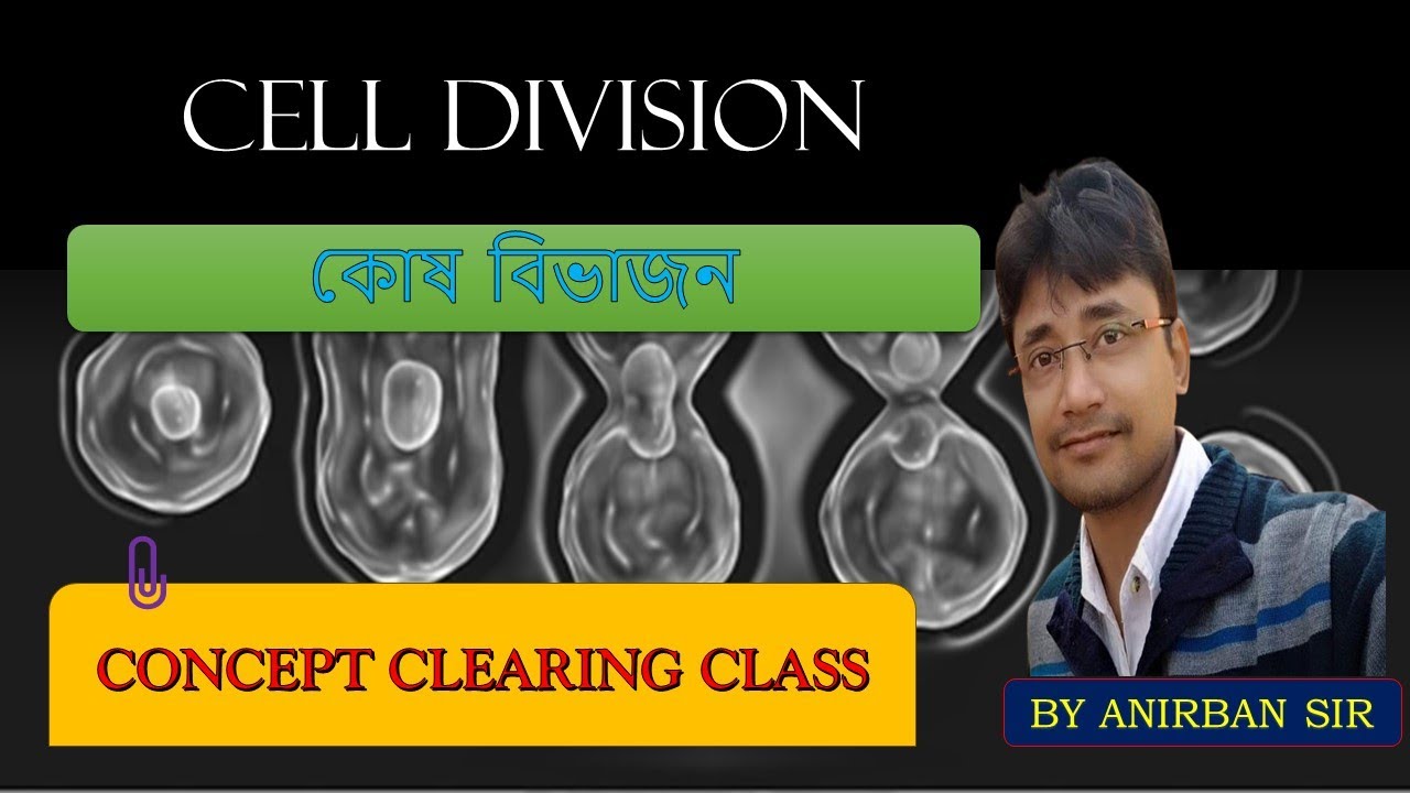 Cell Division Explained: Mitosis and Meiosis in Simple Terms | Biology ...