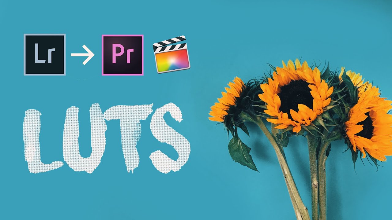 CONVERT LIGHTROOM PRESETS INTO LUTS // How to Color Grade using ...