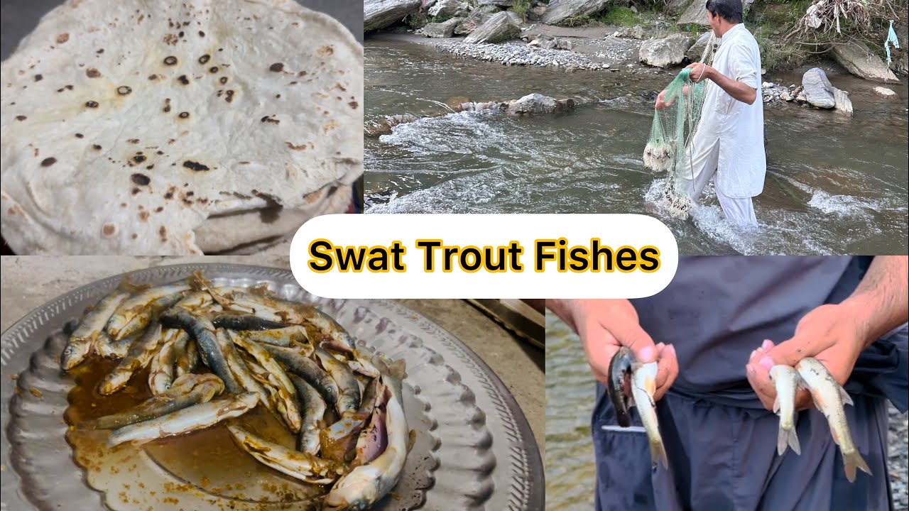 Shangla yakhtangay part (1) Shangla top /District swat #fishing - YouTube