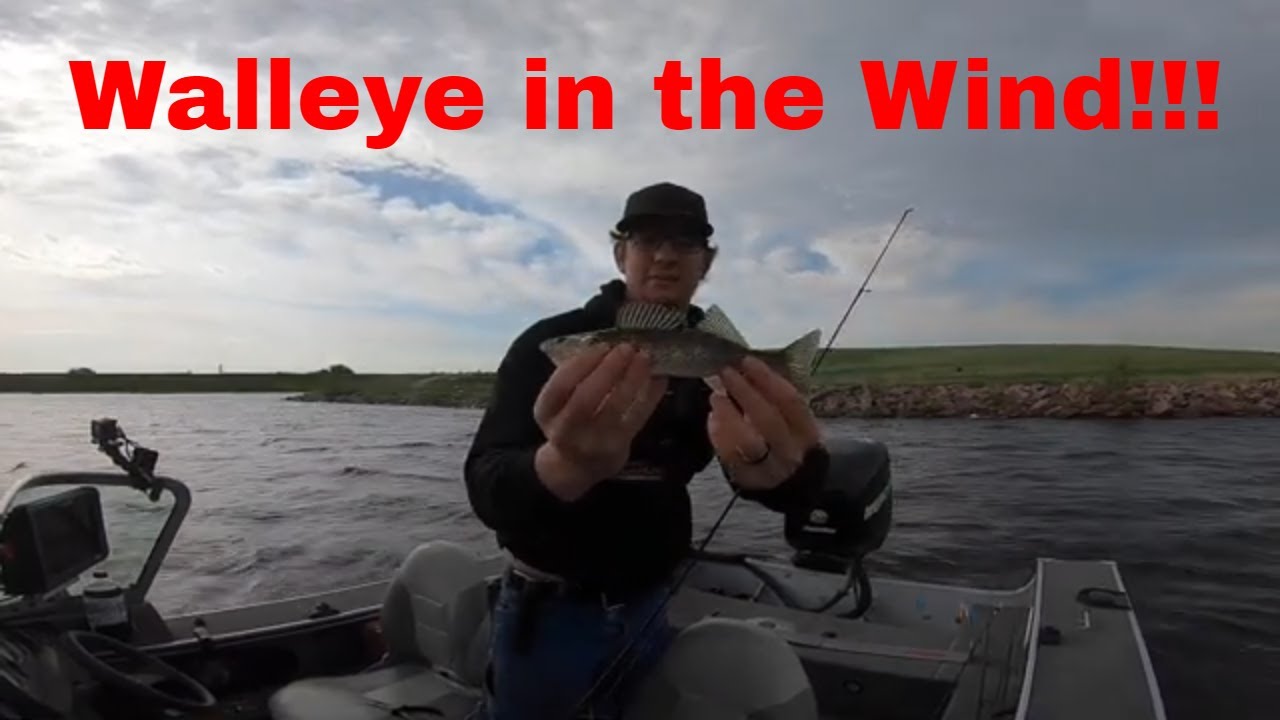 Walleye in the WIND!!!!! - YouTube