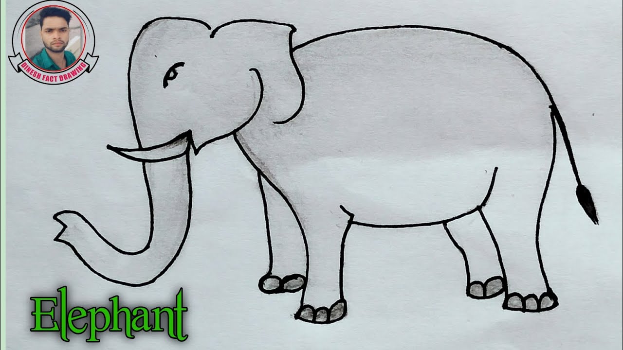 हाथी का चित्र कैसे बनाया जाता हैं चित्रकला//pencil sketch easy kids ...