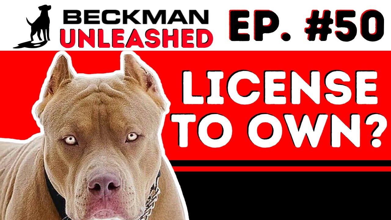 Unleashed #50 - Should you need a License to Own a Dog with Garret Wing ...