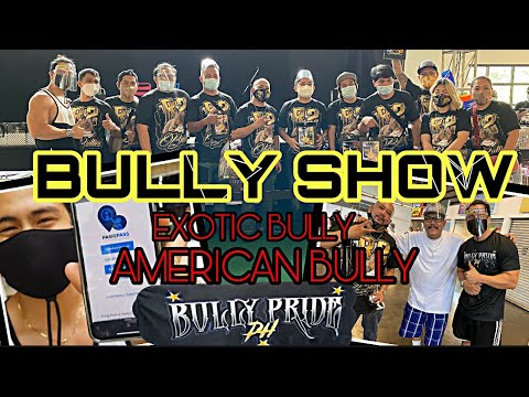 BULLY SHOW NGAYONG PANDEMIC 🔥 AMERICAN BULLY & EXOTIC BULLY DOG SHOW ...