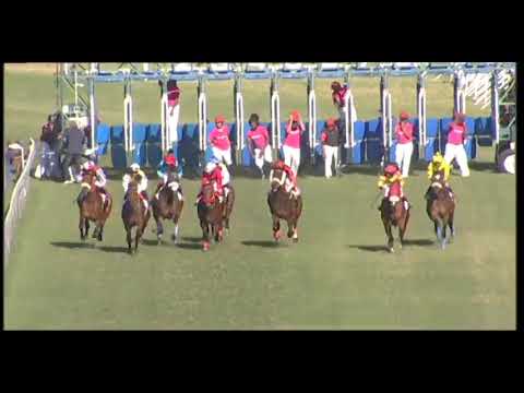 The Chili By MTML Golden Trophy | Opera Royal | M.Nunes - YouTube