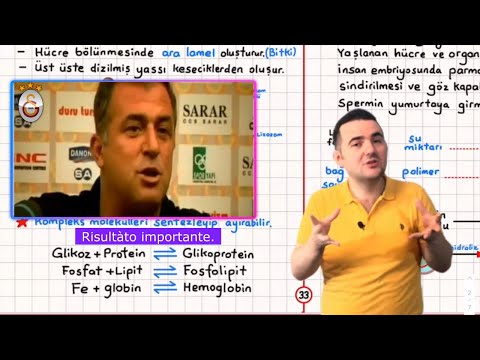 18-Hücre Tek Zarlı Organeller (ER, Golgi, Lizozom, Koful, Peroksizom) 9. sınıf biyoloji pdf yks 2023