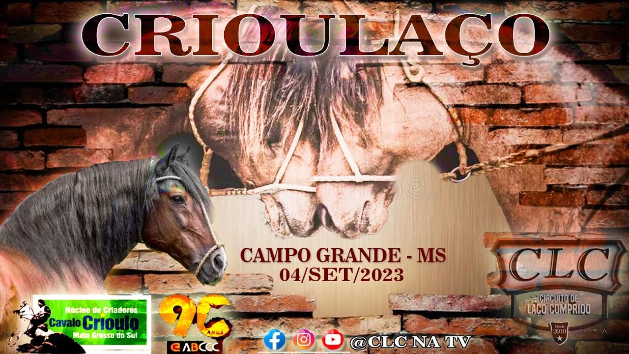 Crioulaço ABCCC - NCCMS - CLC 2023 - YouTube