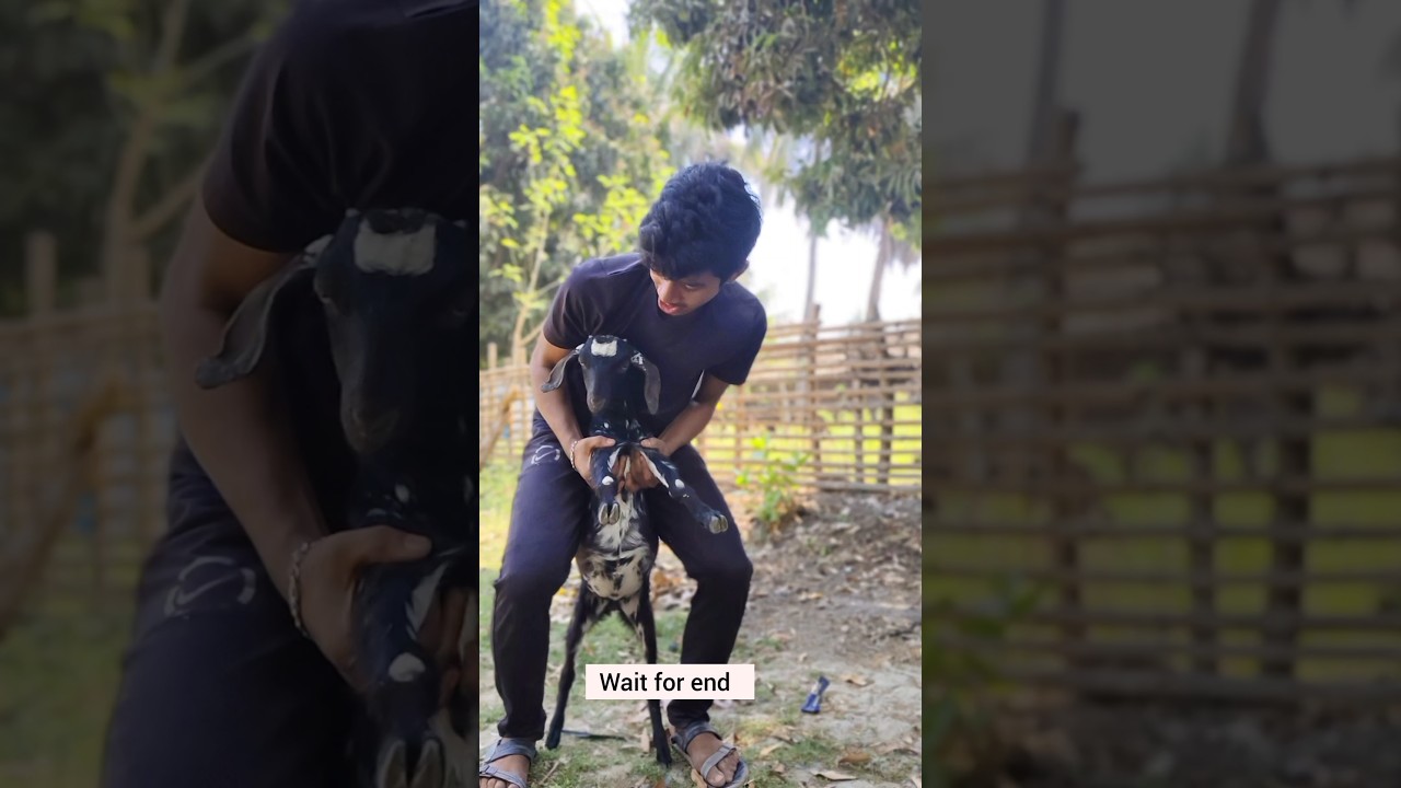 Wait for end 🤯😂🤣 #comedyshorts #youtubeshorts #comedy #funny # ...