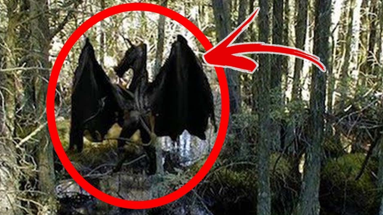 Top 5 Scary Creatures From Japanese Folklore - YouTube