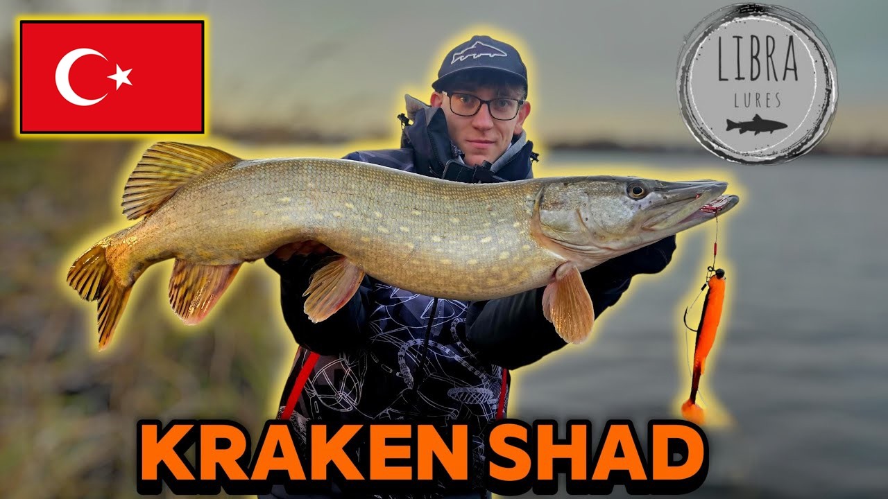 Turna ve Sudak Balığı İçin 🐟 Kraken Shad 4" - Türkiye - YouTube